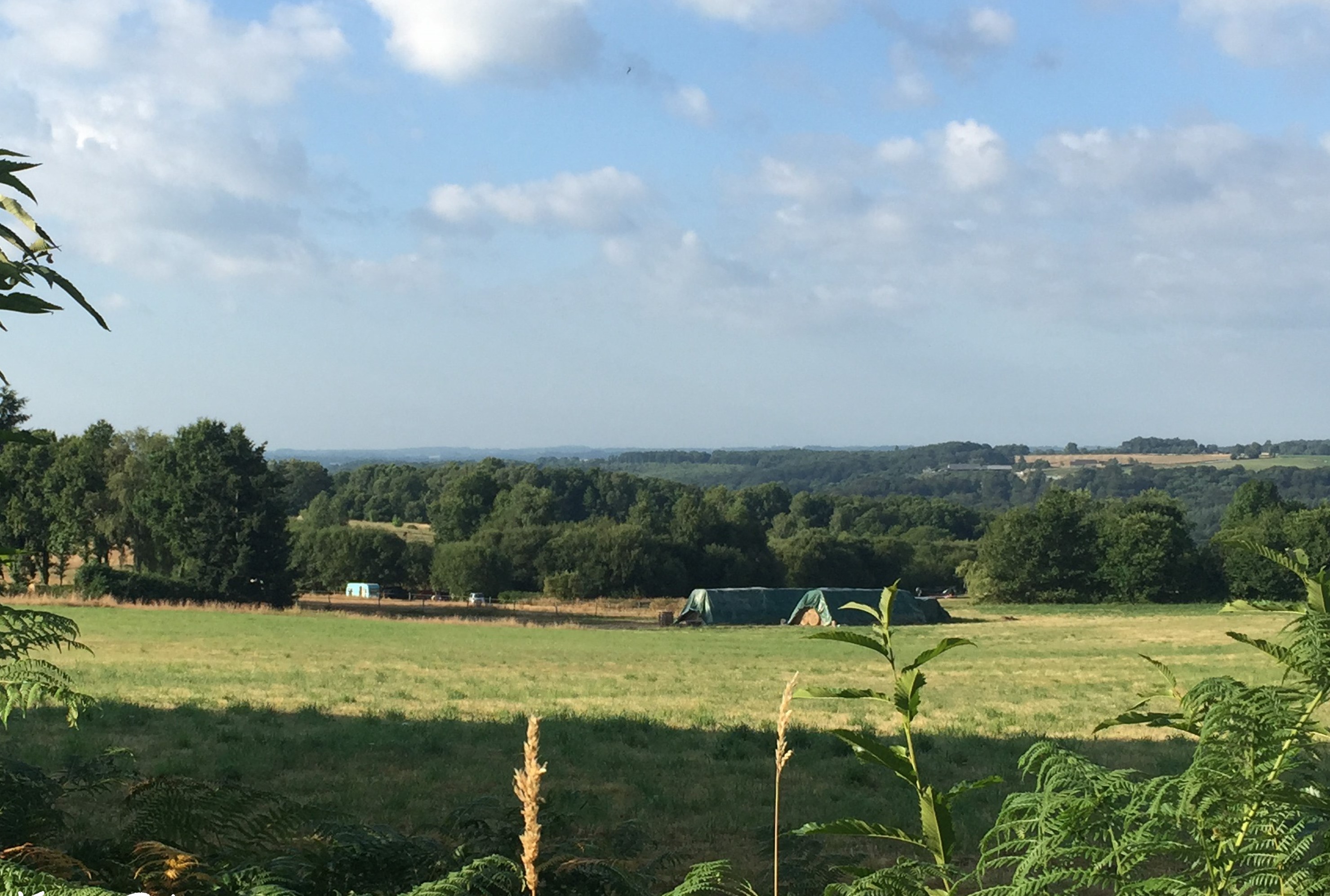 vente Ferme 28 hectares